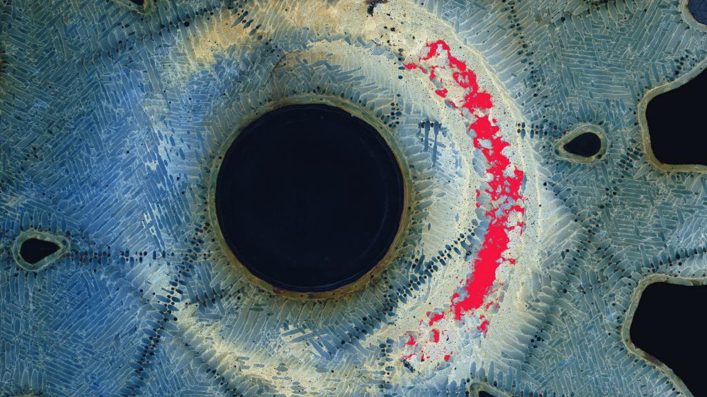 Präzisionsanalysesoftware für die Qualitätskontrolle | ZEISS