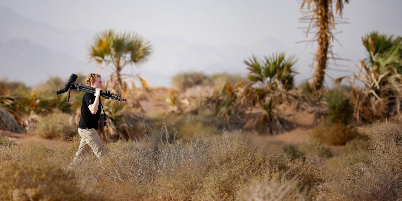 ZEISS Conquest Gavia | Für klare Sicht von überall – leicht und flexibel