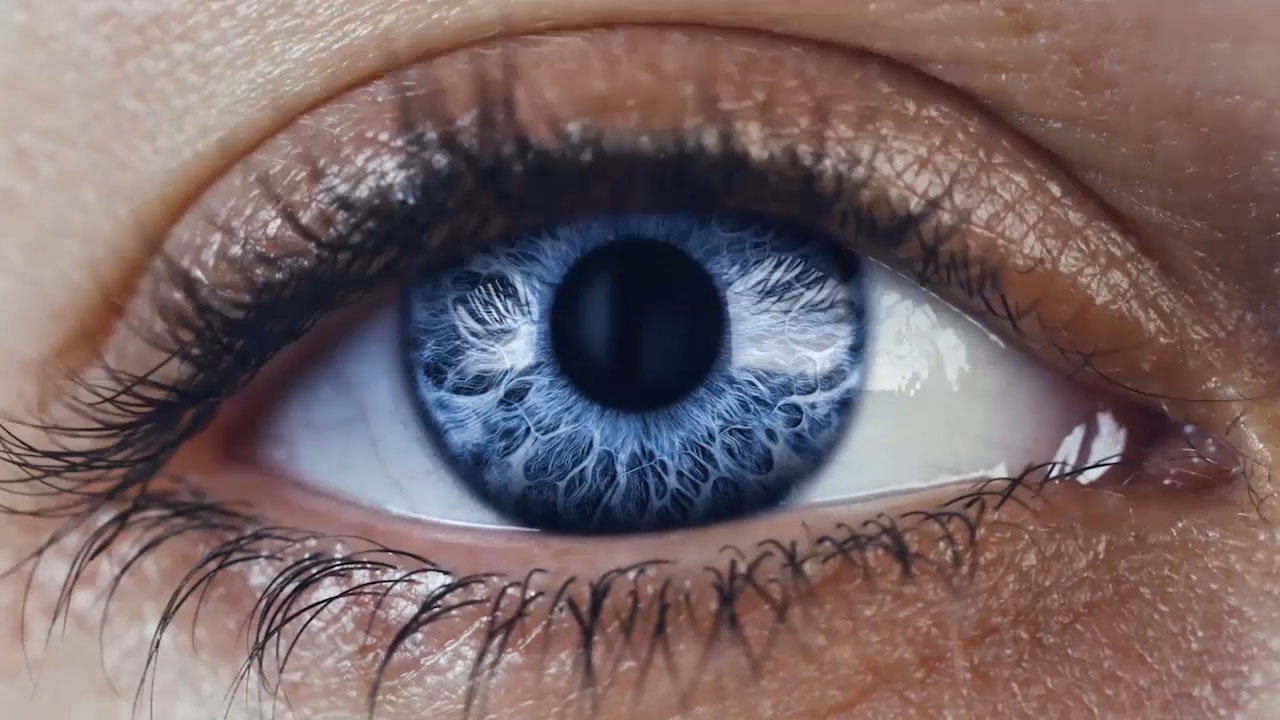 Willkommen bei ZEISS Vision Care